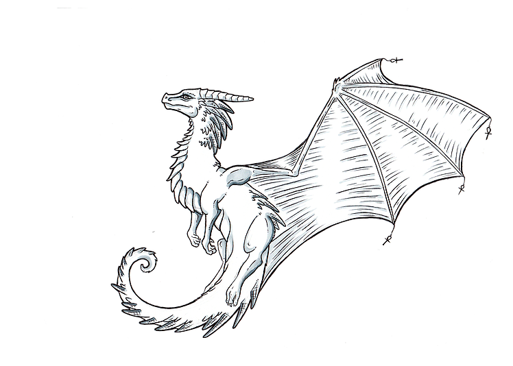 All – Little Dragon Designs